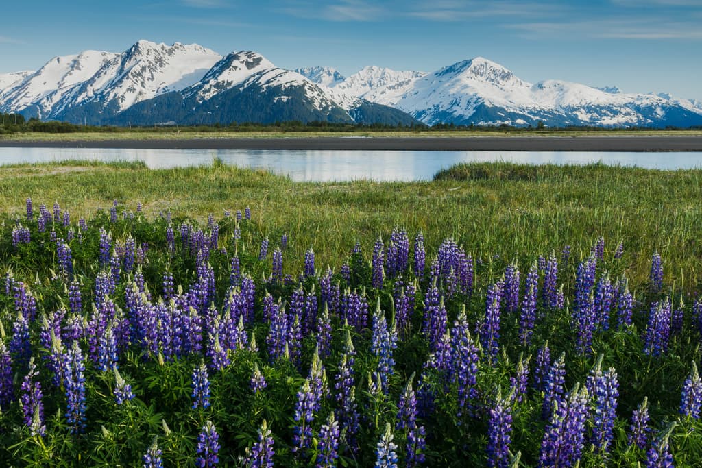 There Are 2 Main Alaska Cruise Routes: Here's How to Choose the Right ...