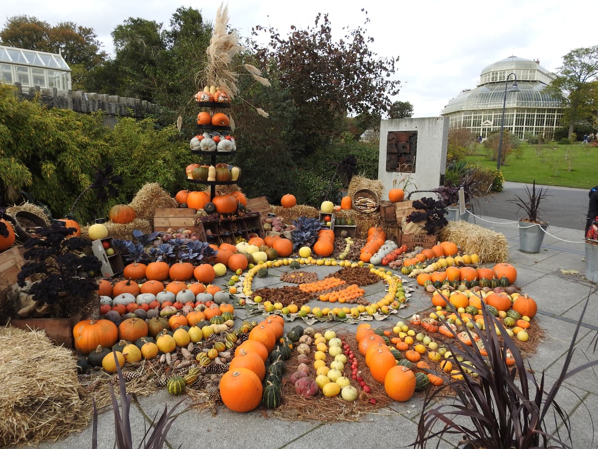 Ireland Is the Birthplace of Halloween: Here’s Why It Makes for an ...