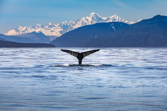What to Do in Anchorage, Alaska in Every Season | ShermansTravel